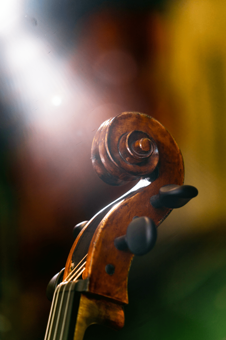 A Beginner’s Guide to Tuning Your Cello – Ronald Sachs Violins