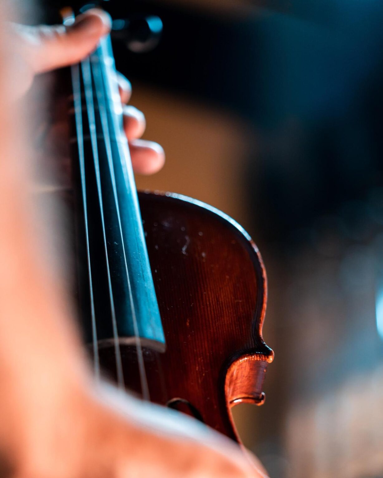 Violin, Viola, Cello, or Bass: Which is the Right String Instrument for ...