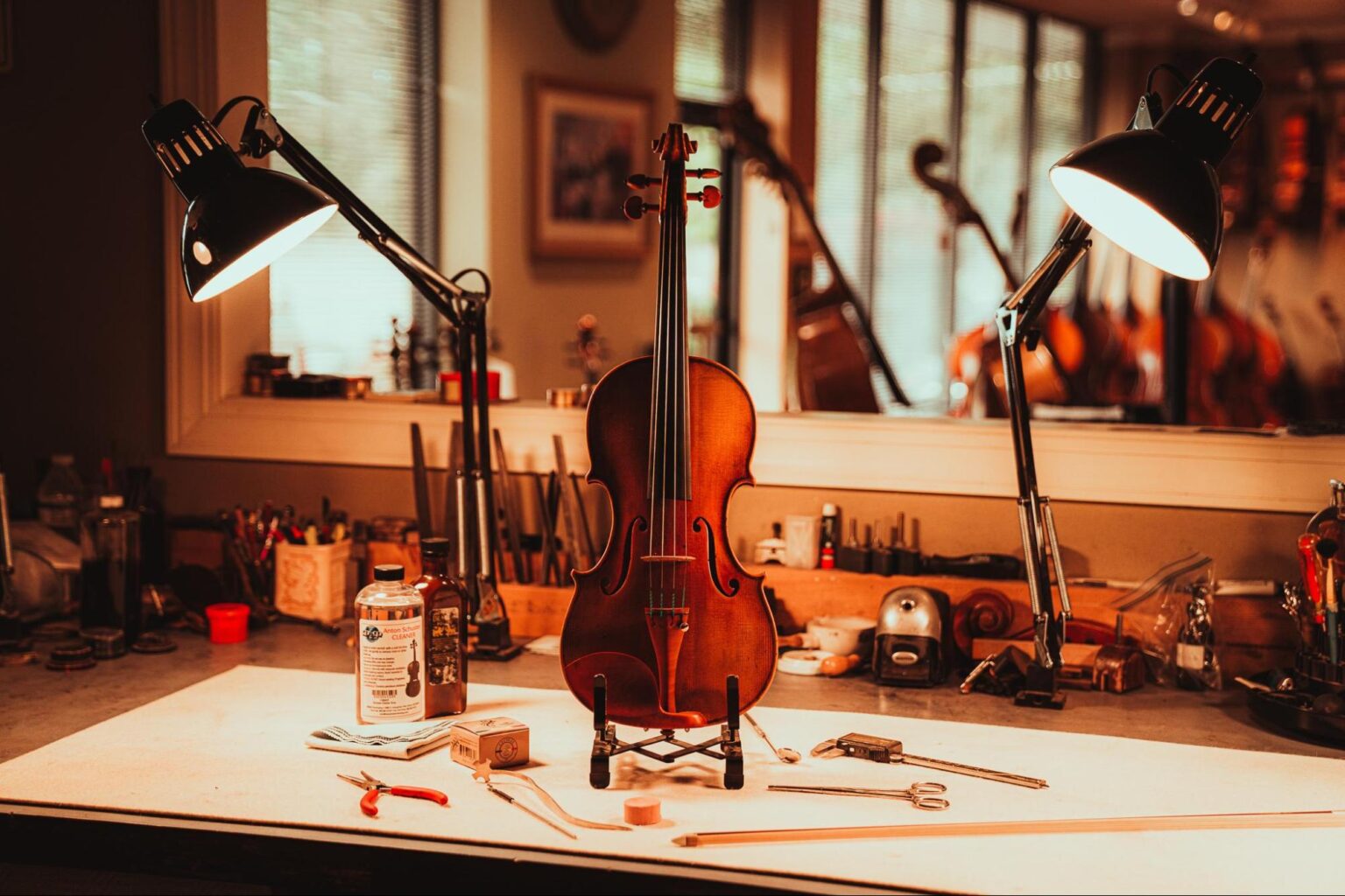 Maintaining Your Violin: 5 Steps to Great Violin Care - Ronald Sachs ...