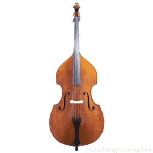 What Is a Double Bass Instrument - Ronald Sachs Violins