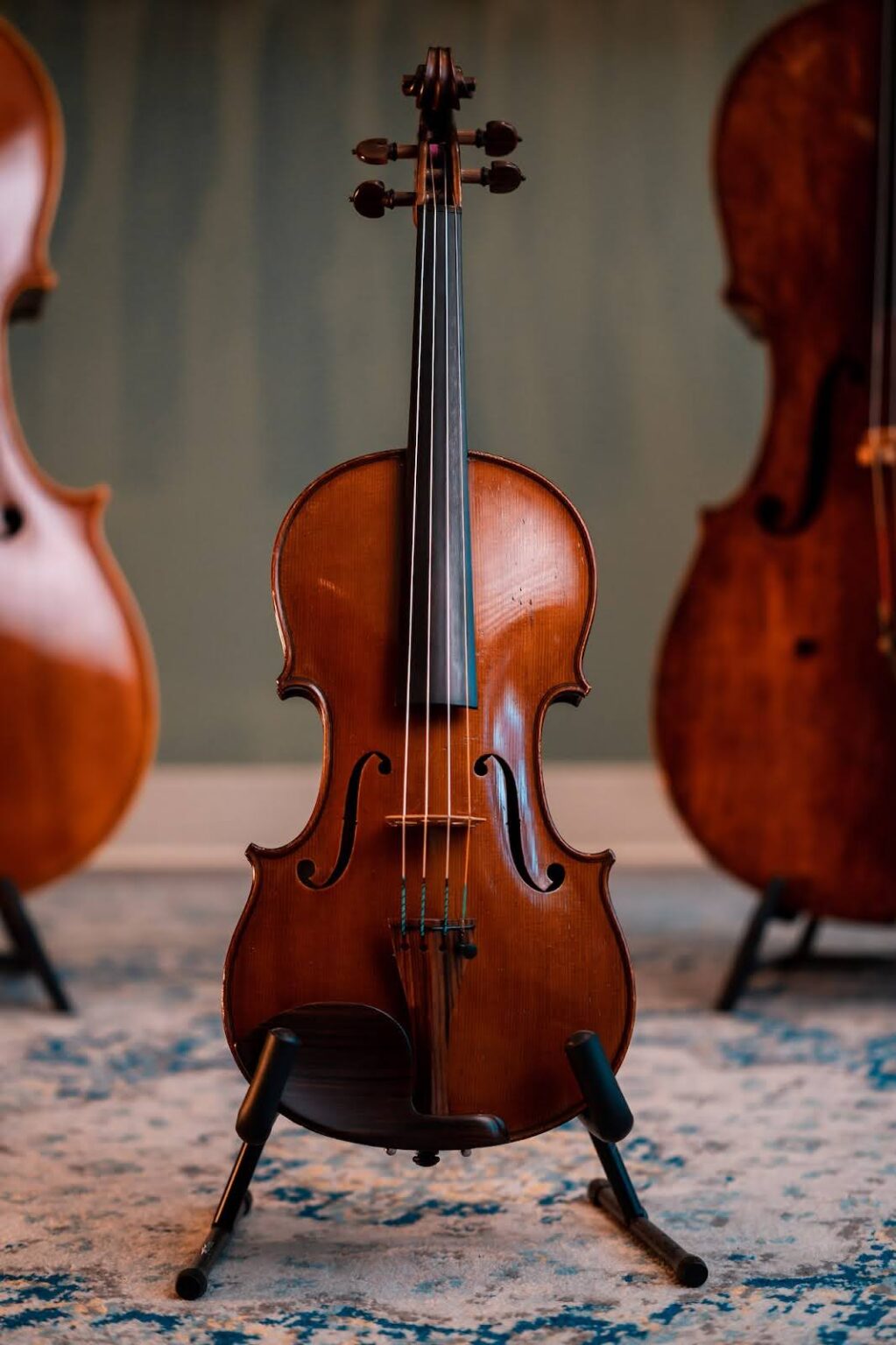 How Many Strings Does a Cello Have - Ronald Sachs Violins