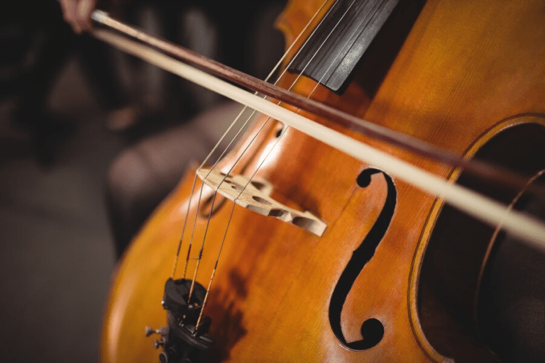 Exploring the Double Bass: A Non-Transposing Instrument | Ronaldsachs